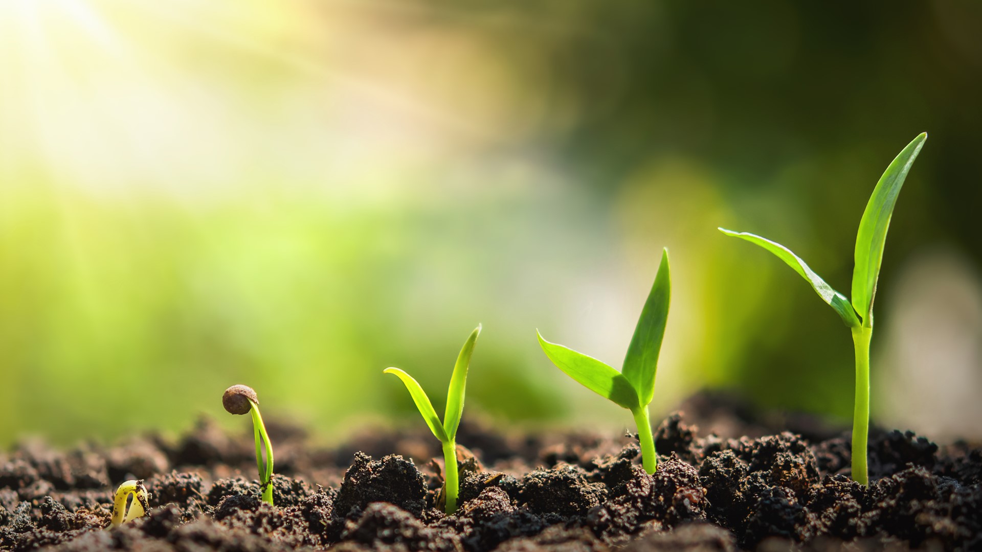 Jean Audet – ACM Lévis